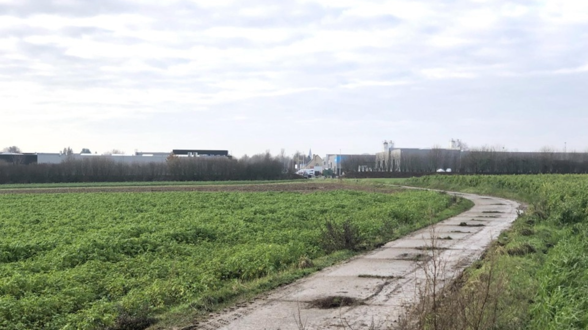 Kolmont contributes to the expansion of SME zone Op ’t Reeck in Riemst ...